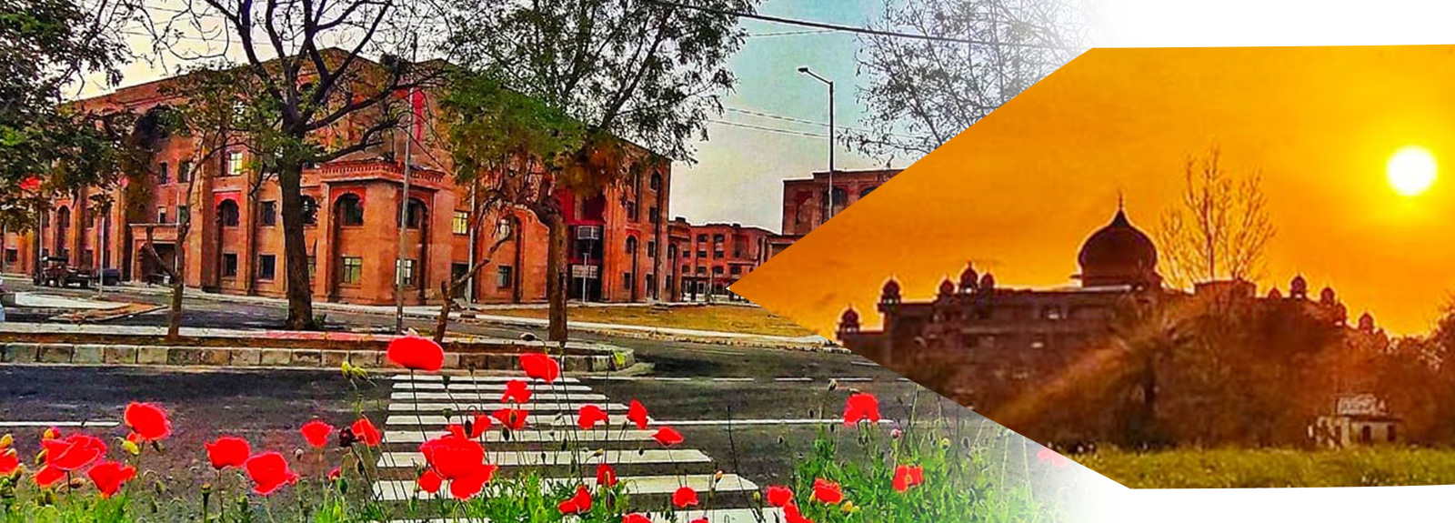 Maharaja Ranjit Singh Punjab Technical University